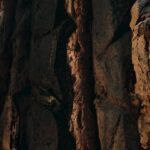 Starweirds Explained | Star Wars Wiki